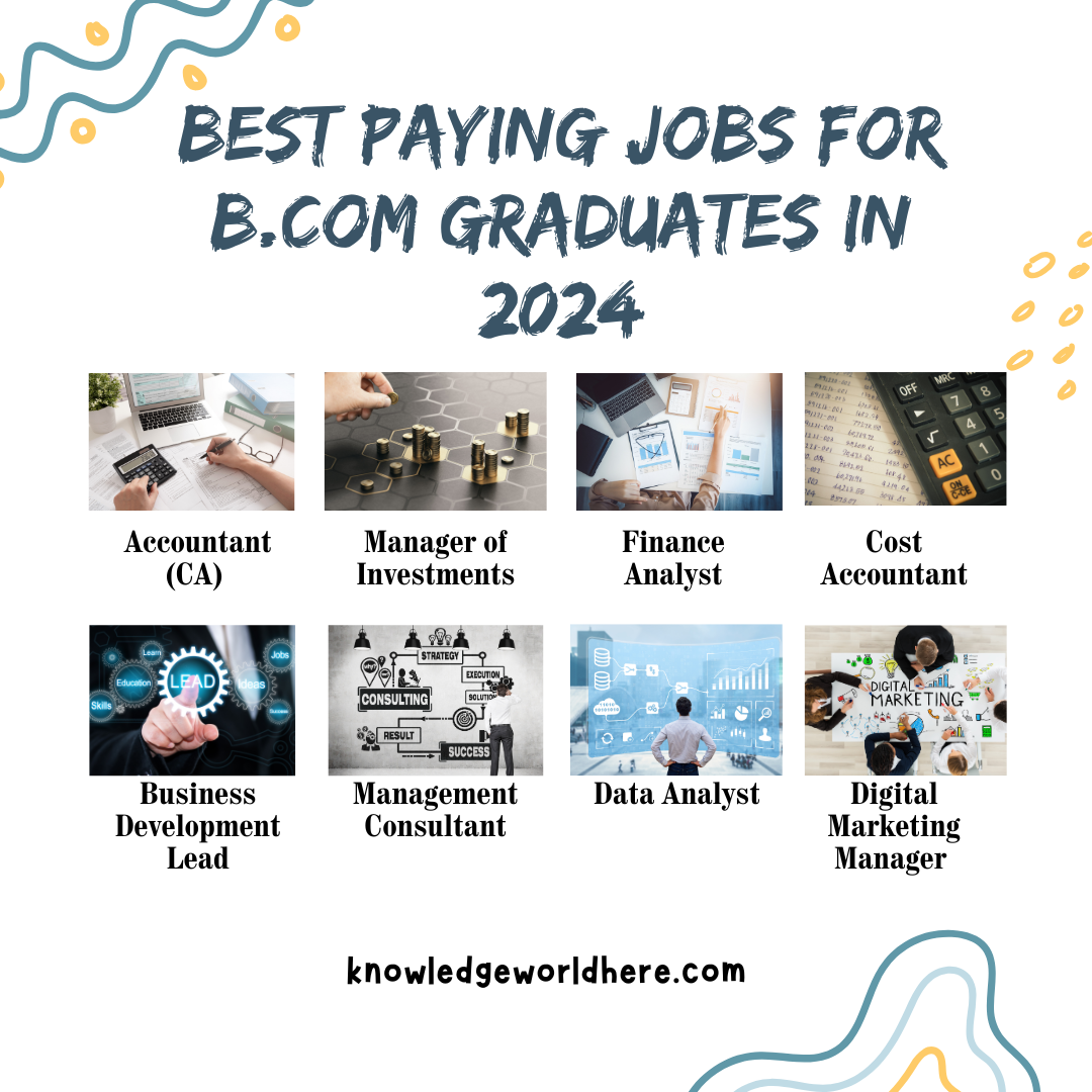 Top Career Paths for B.Com (Hons) Graduates in 2024